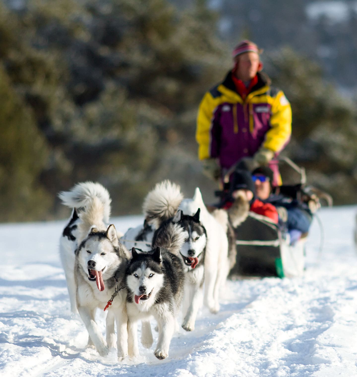 French immersion for Teens | Edu-inter