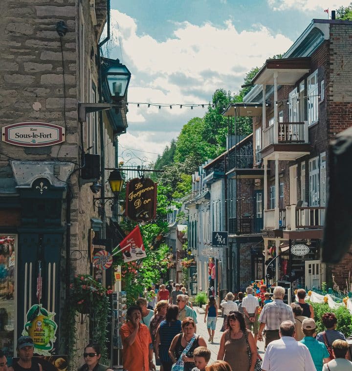 French Immersion 50+ - Edu-Inter